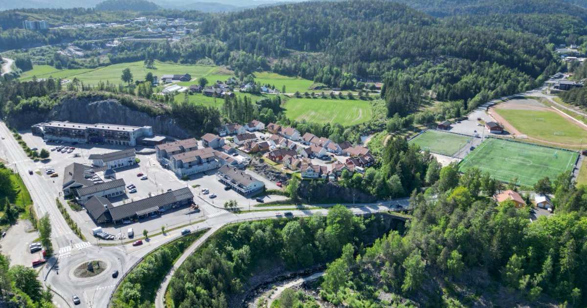 Vi vil mer for Froland - Senterpartiet